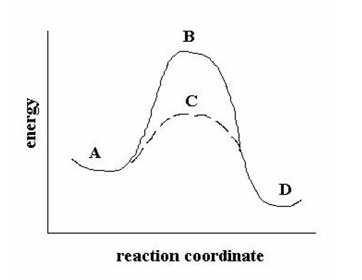 NSAA Cambridge: Definitive NSAA Guide For 2022